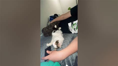 Не спи поиграй со мной Youtube