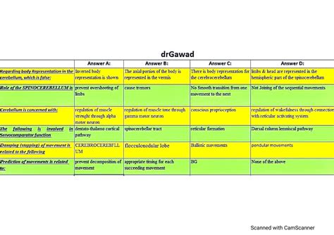 MCQ Lec 12 Physiology CNS Physiology Pathology Studocu