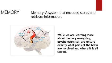 Cognition Memory And Its Parts PPT