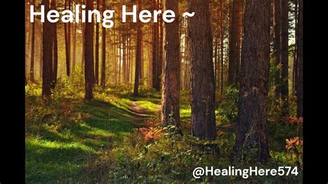 숲 속 명상음악 마음이 편안해지는 음악 클래식 피아노 명곡 연속듣기 머리를 맑게 하는 음악 힐링음악 명상음악 치유음악 카페음악 스트레스 해소 음악 휴식음악