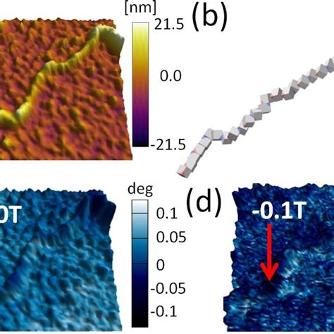 A Topography Image Of Part Of The Chain Of Iron Iron Oxide Core Shell Download Scientific