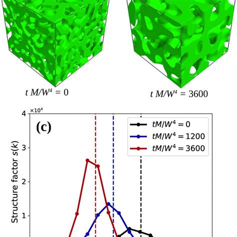 A Example Of Initial Microstructure Considered For Volume Fraction ρ Download Scientific