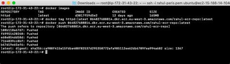 how to setup elastic container registry ecr for docker on aws