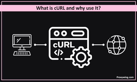 How To Use Curl With Proxy Full Setup For And Socks