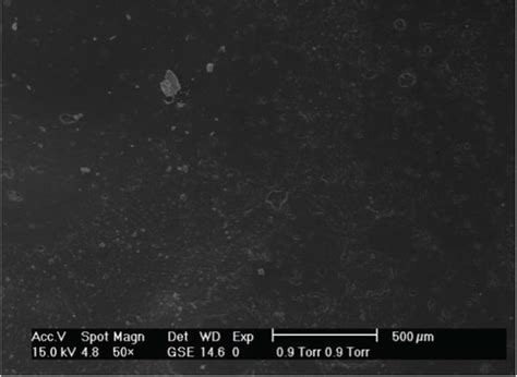 Sem Micrographs Of The Surface Left Column 50x And Internal