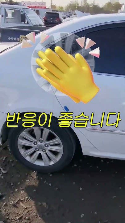 로체 중고차수출 가격 정할때 보는 것 Youtube