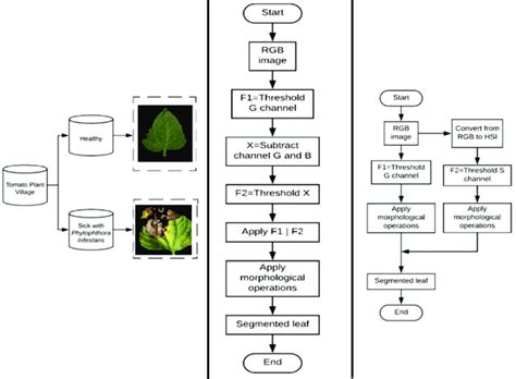 Segmentation Of The Disease Using A Dataset Plant Village B