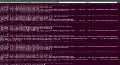 no dicoms s found for file · issue 1 · mic dkfz lidc idri processing · github