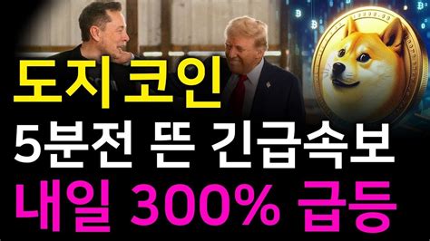 도지코인 내일 300 급등 Etf 승인 리플 리플코인 리플코인전망 리플전망 Xrp 리플etf 리플실시간