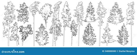 Set Of Coniferous And Deciduous Trees For Architecture And Landscape Design Line Drawing