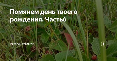 Помянем день твоего рождения Часть6 Истории от бабули Дзен