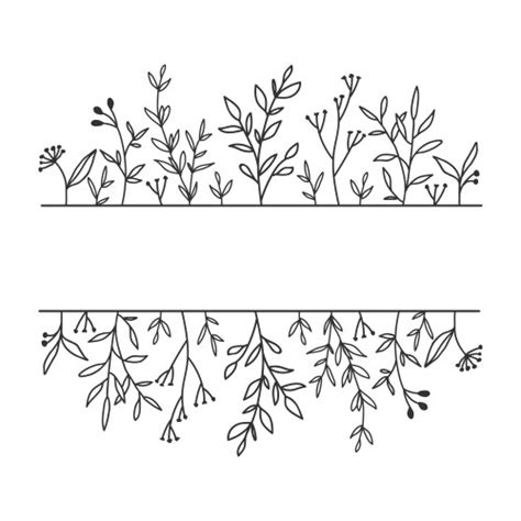 Peony Flower Split Monogram Frame Royalty Free Vector Image