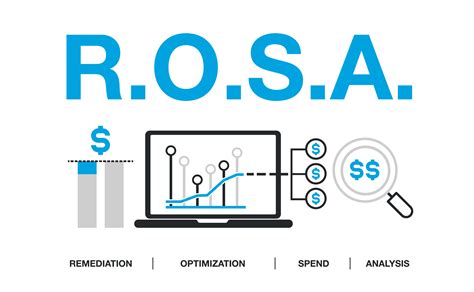 Remediation Optimization Spend Analysis Trusaic