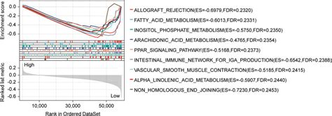 A Novel Defined Risk Signature Of Cuproptosis Related Long Non Coding Rna For Predicting