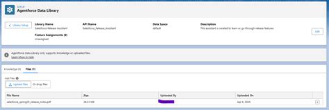Salesforce Globe For You Salesforce Shorts