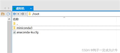 Windows与linux安装miniconda并启动python项目及指令python Miniconda Csdn博客