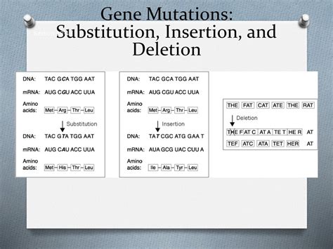 Mutations Ppt Download