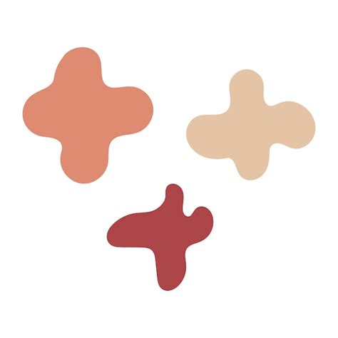 Elementos Gráficos Decorativos De Vetores De Cores Vetor Premium