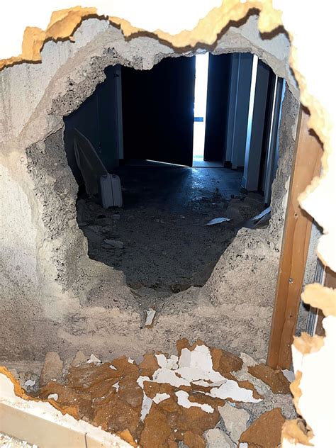 Open Air Kino Düsseldorf 2025 Alle Info Zum Programm Tickets And Specials