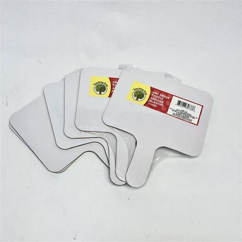 Whiteboard Paddles Program Assistant
