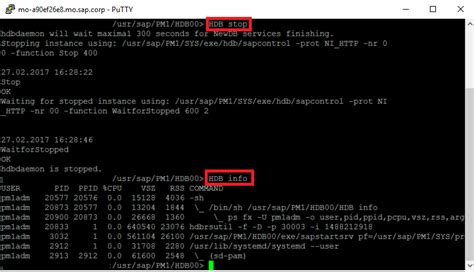 Stopping And Restarting The Extended Storage Service Sap Tutorials