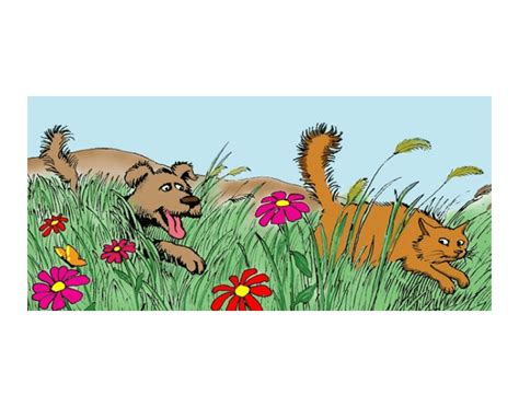 The Chase Storyboard Activity Quiz