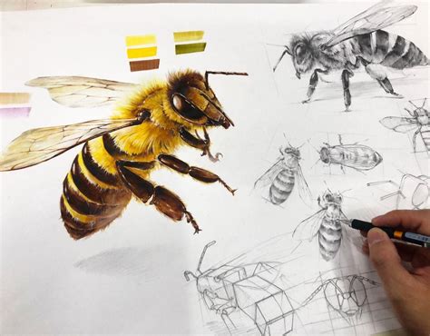 입시미술 홍쌤 On Instagram 꿀벌 특강 벌의 구조와 색상에 대해 알아보자~ 털 참 많구나~😳😳그리기 어렵게 이건 시범 꼭 필요하다 특강 준비 열심히👊🏻