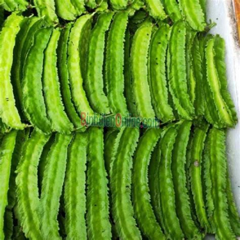 Đậu Rồng đậu Khế Hữu Cơ