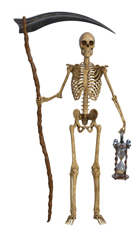 Download Skeleton Grim Reaper Death Royalty Free Stock Illustration