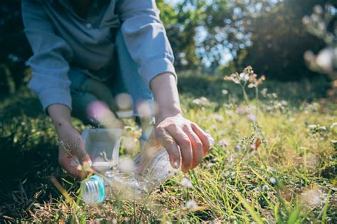 여자 손 들고 쓰레기 병 플라스틱 청소를 위한 재활용 가방에 넣어 수집에 대한 스톡 사진 및 기타 이미지 수집 숲 쓰레기 Istock