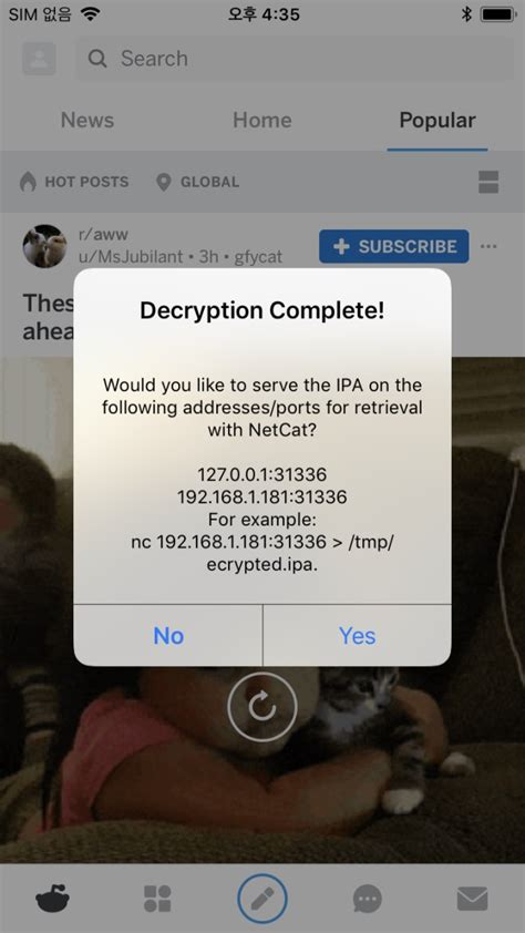 Extract Decrypt Ipa From Ios With Bfinject Madhat