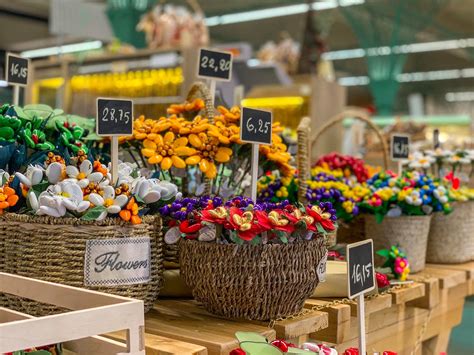 🌸🌺🌼 მხოლოდ აგროჰაბში ყვავილი აგროჰაბი • Agrohub