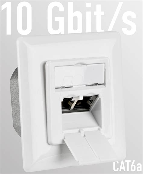 Efb Ec020400002 Cat 6a Network Socket 2 Way Flush Mounted Rj45 Lsa At Reichelt Elektronik