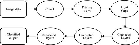 The Capsule Neural Network Model For Identifying Lung Cancer Download