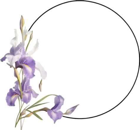 Premium Psd Colorful Painting Of Iris Floral Frame