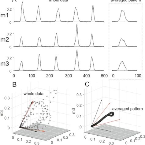 Synergy Analysis Steps Muscle Synergy Analysis Consists Of Identifying