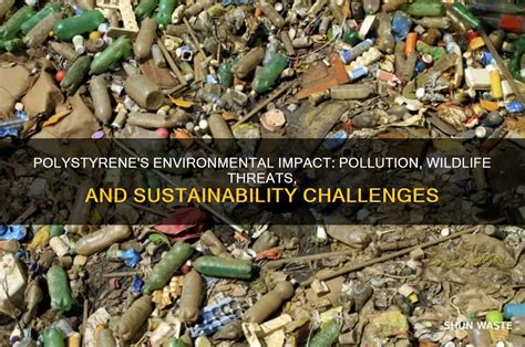 Polystyrenes Environmental Impact Pollution Wildlife Threats And