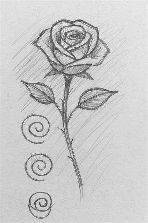 Beginner Rose Drawing Simple Step By Step Guide 🖌️ How To Draw A Rose