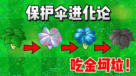 植物大战僵尸：保护伞进化论！吃金坷垃进化三次，火力压制僵尸！ 高清1080p在线观看平台 腾讯视频