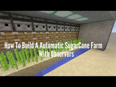 How To Build A Automatic Sugarcane Farm Using Observers Youtube