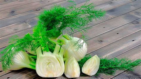 Para Que Sirve La Infusión De Hinojo Remedios Naturales