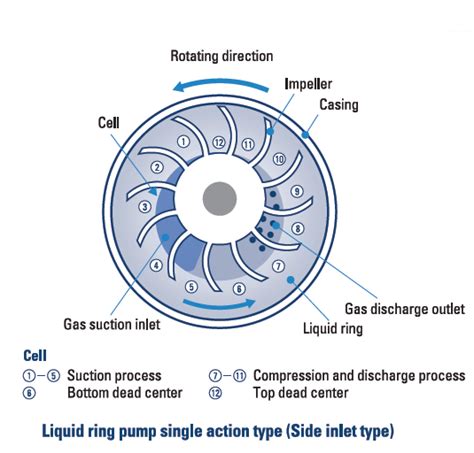 Liquid Ring Vacuum Pump
