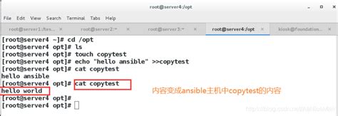 Ansible（四）常用模块（fetch，copy，file）之文件操作awx Fetch File 保存在哪儿 Csdn博客