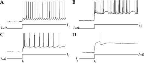 Figure 110 From Neuronal Dynamics From Single Neurons To Networks And