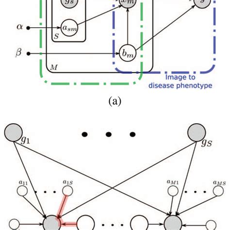 A Graphical Representation Of The Generative Model Hollow Circles