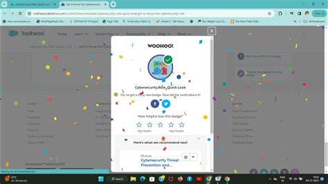 Cybersecurity Role Quick Look Salesforce Trailhead Youtube