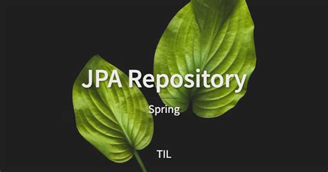 Spring Jpa Repositroy