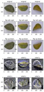 Image Augmentation With Keras Preprocessing Layers And Tf Image
