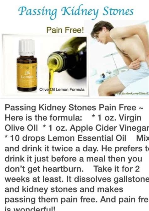 These Pictures Will Help You Id The Most Common Bug Bites This Summer Artofit