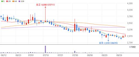 케이웨더 배당금 주가 전망 실적발표 2024 Review Or Not